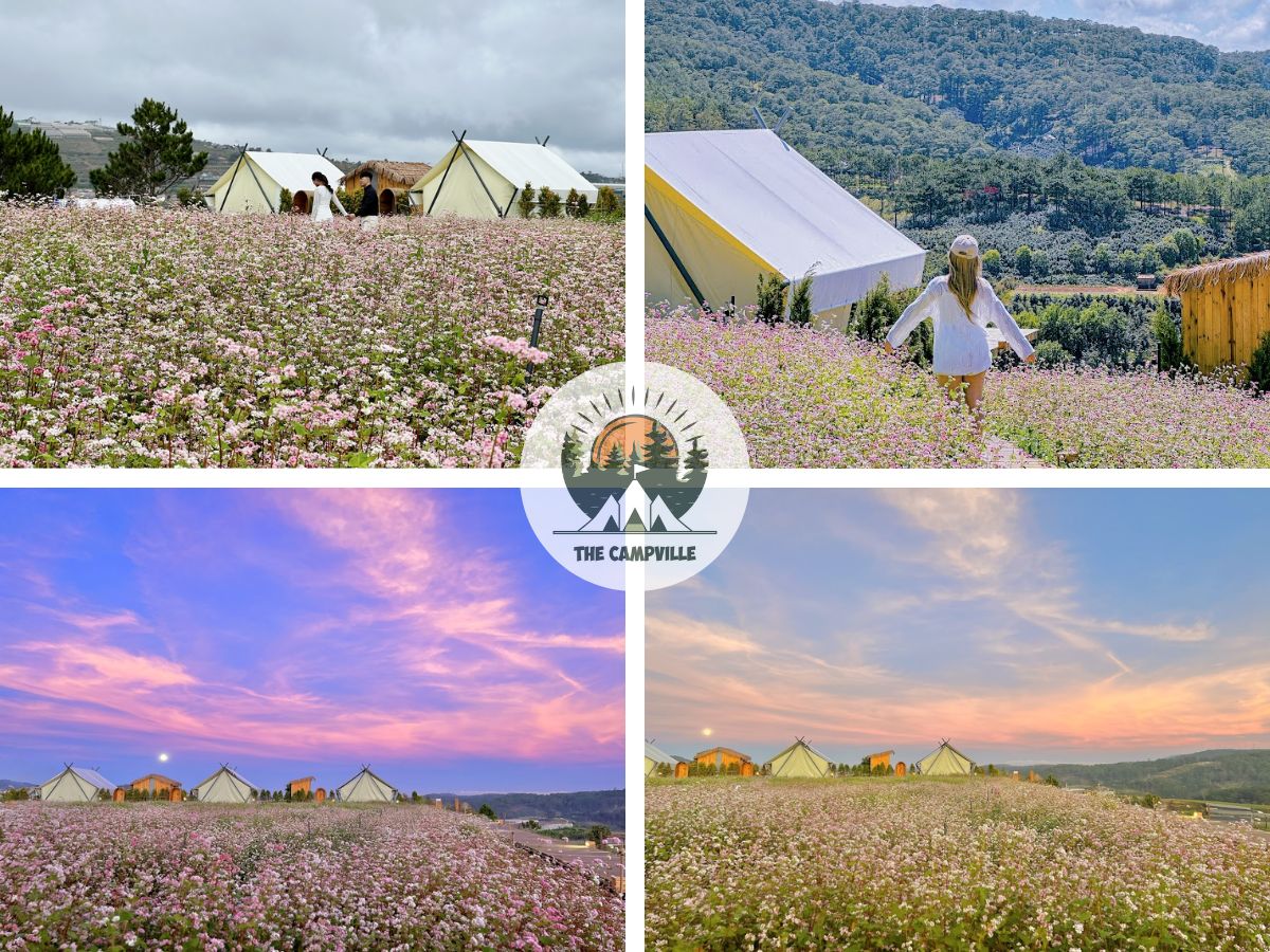 The Camp Ville Dalat khu A View Cánh Đồng - The CampVille Dalat